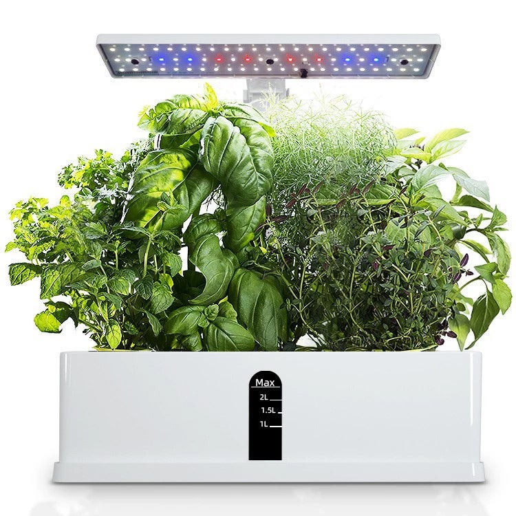 Sistema di coltivazione idroponica con luce di coltivazione a LED, kit per giardino di erbe ...