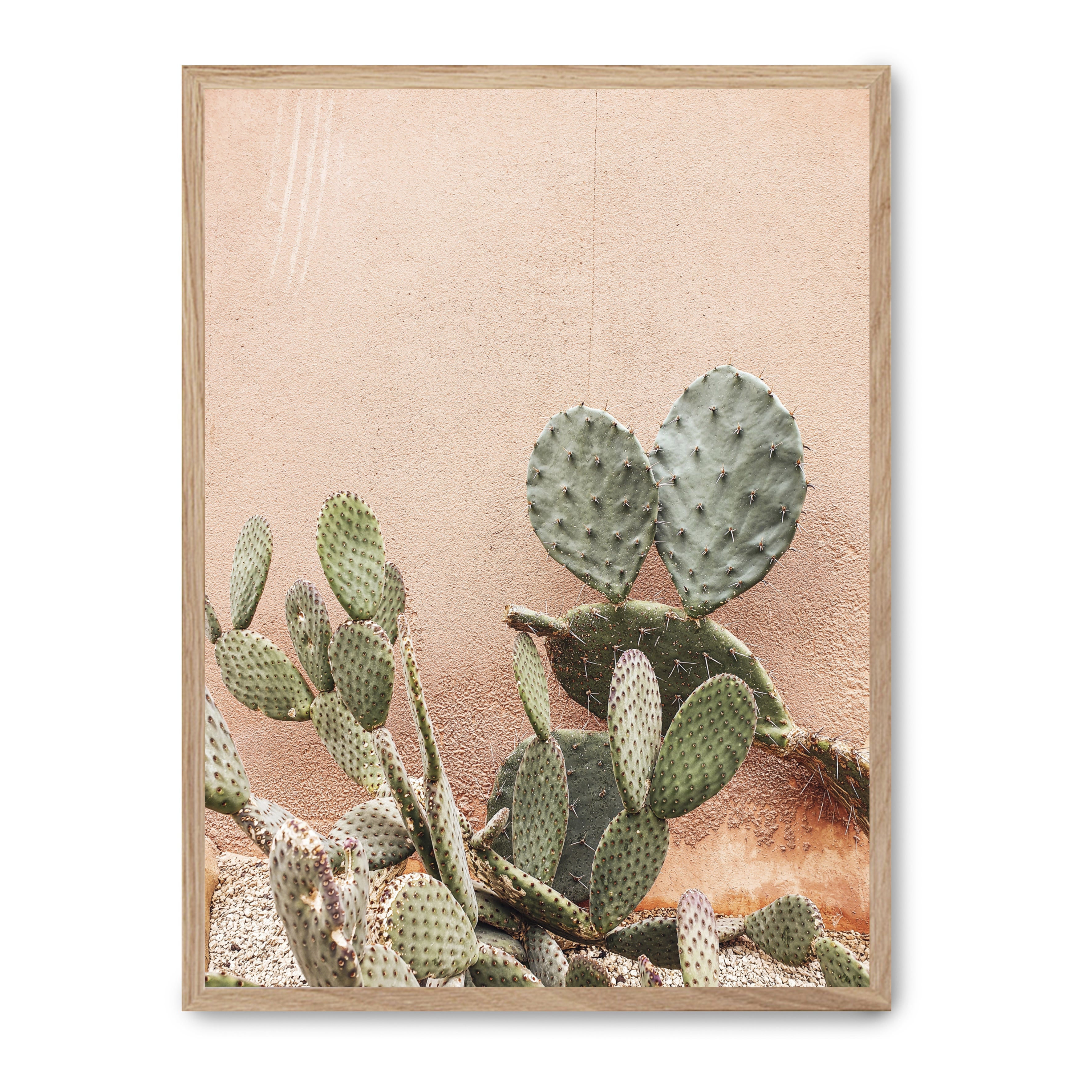 Cuadro Cactus terracotta bac, marco premium chapado en roble, 30x40 cm ...