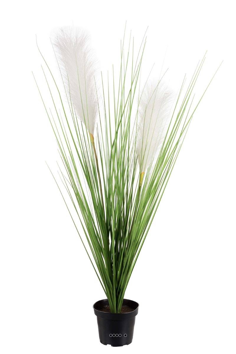 Graminée Herbe de la Pampa artificielle, 2 chatons, en pot H 65 cm ...