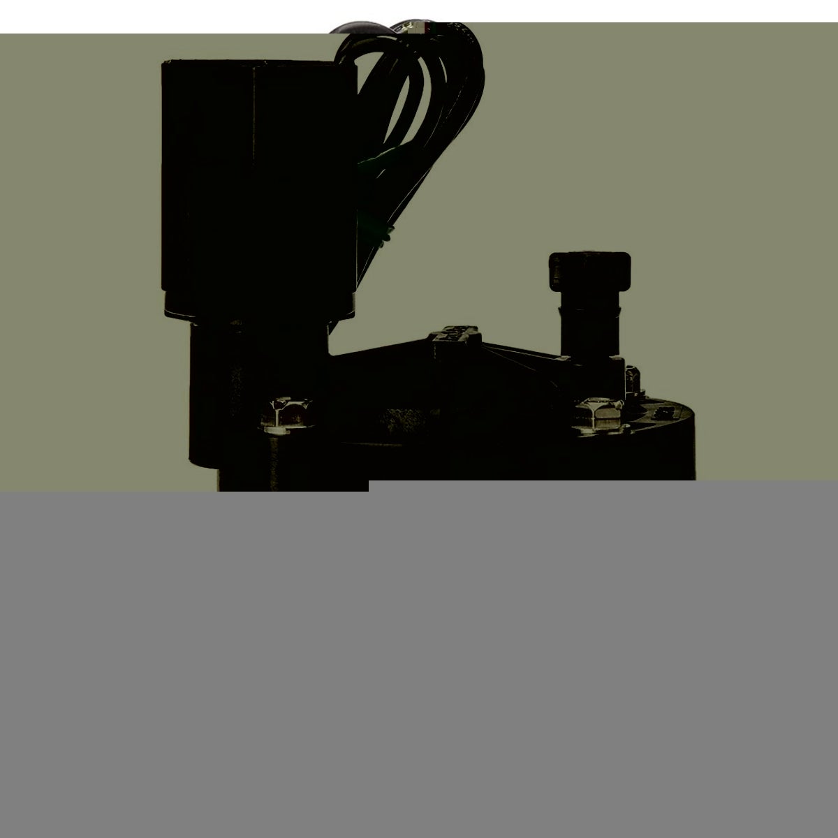 Électrovanne d'irrigation Rain Bird 100-HV avec solénoïde 24 V - Haute ...