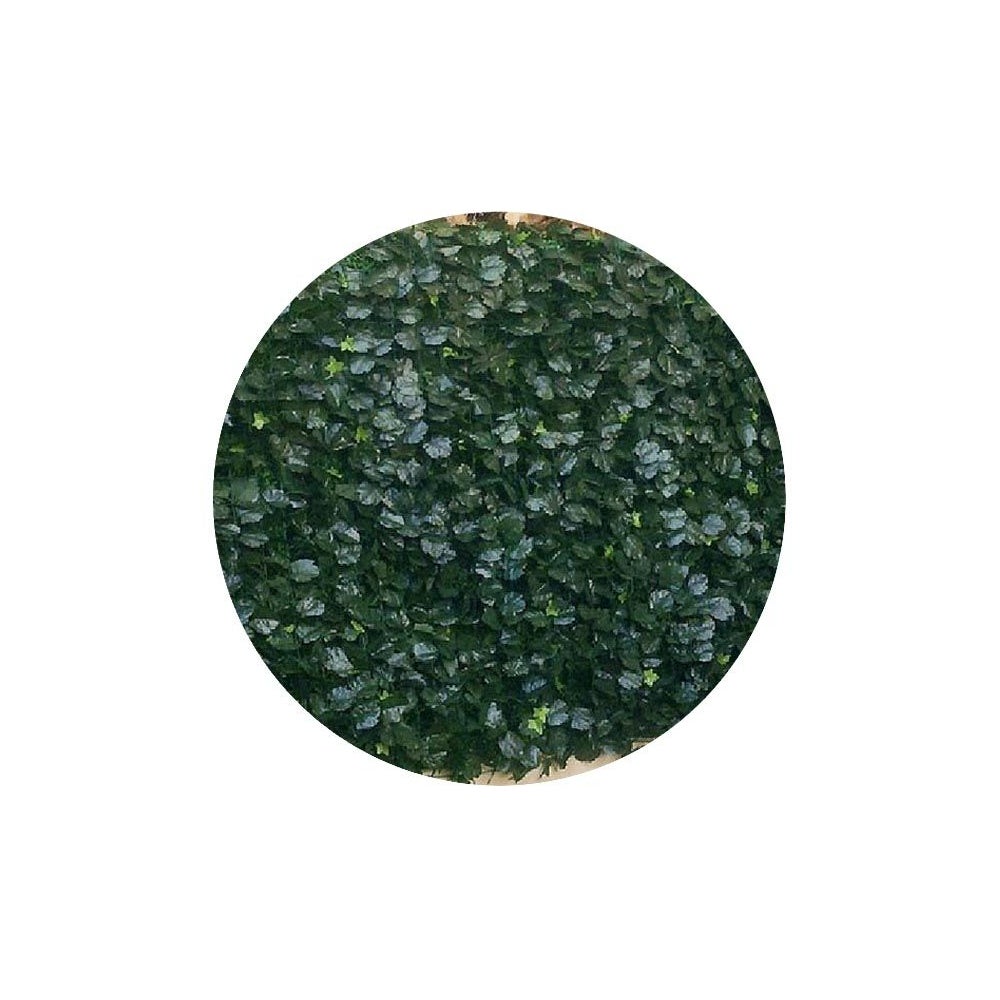 Haie artificielle feuillage en rouleau Duo 1 x 3 m Jet7garden | Leroy ...