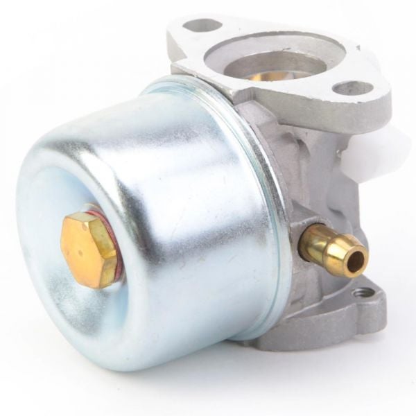 Carburateur pour moteur Briggs & Stratton 790120 | Leroy Merlin
