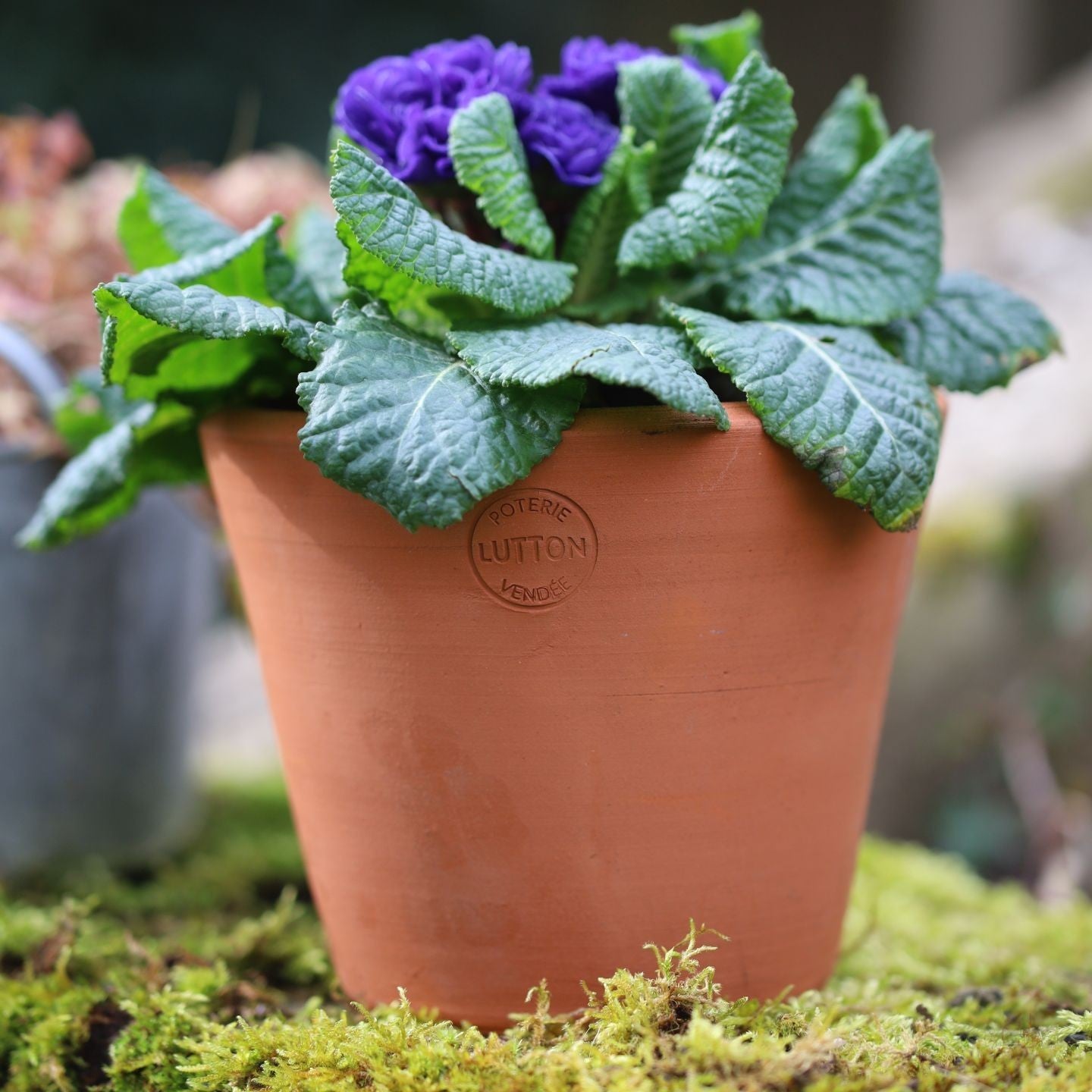 Pot terracotta -15 | Leroy Merlin