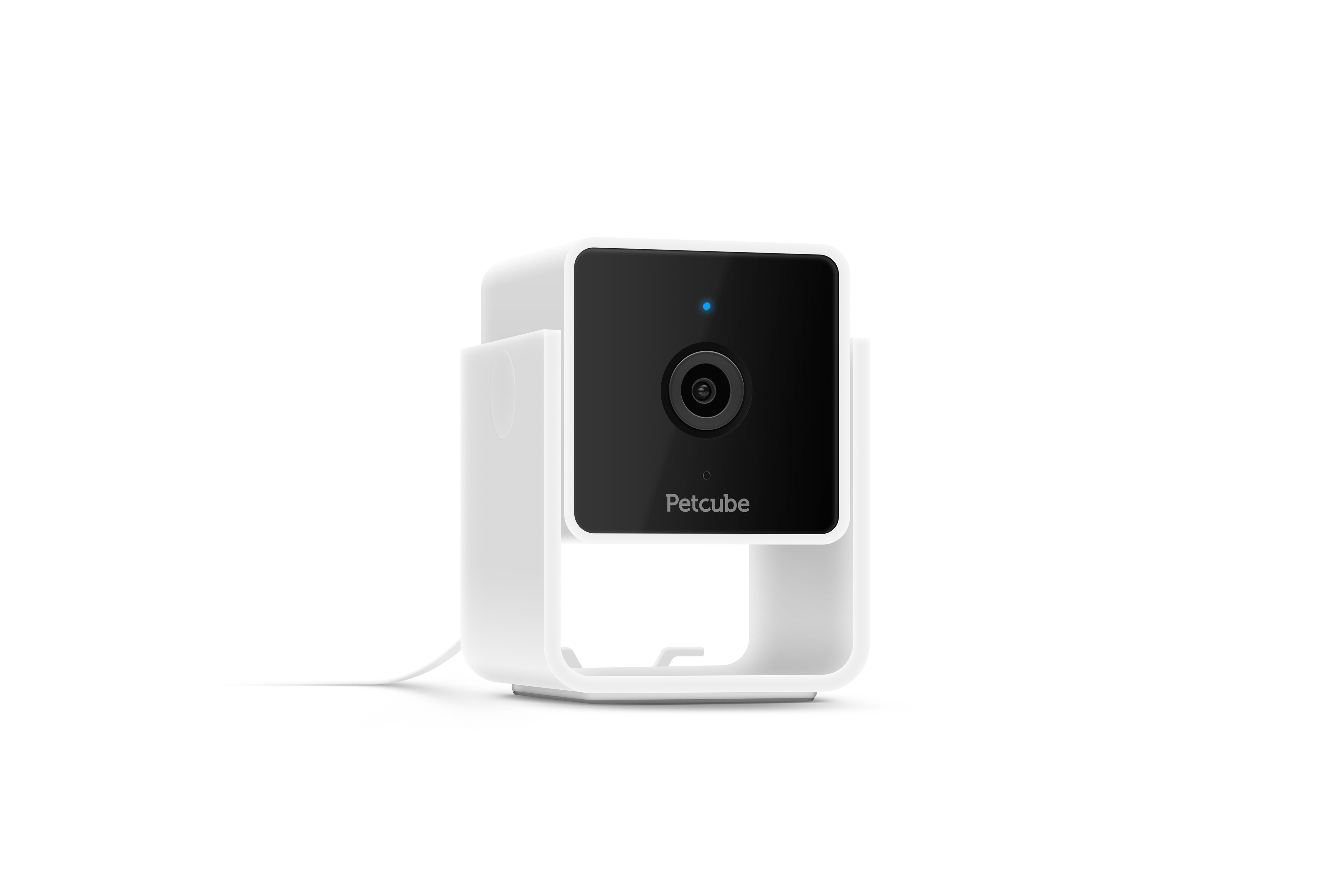 Petcube Pet Cam - Caméra pour animaux de compagnie | Leroy Merlin