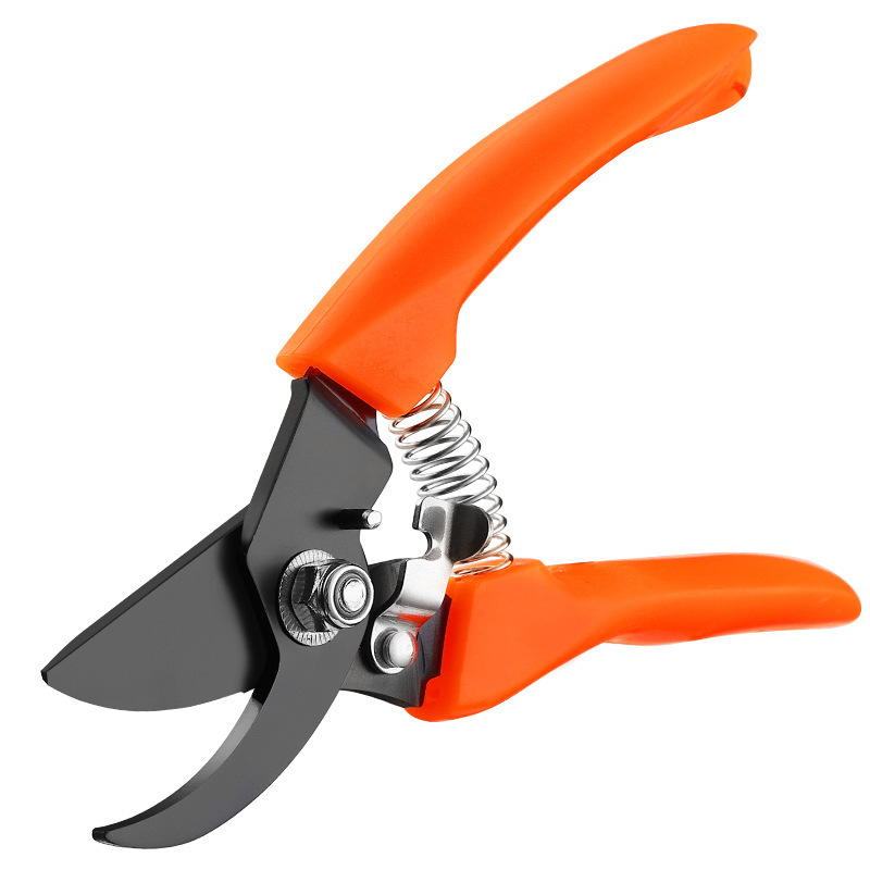 Sécateurs, sécateurs, cisailles à fleurs, cisailles à rosiers ...