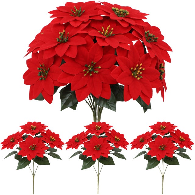 Flores de pascua: compra online | Leroy Merlin
