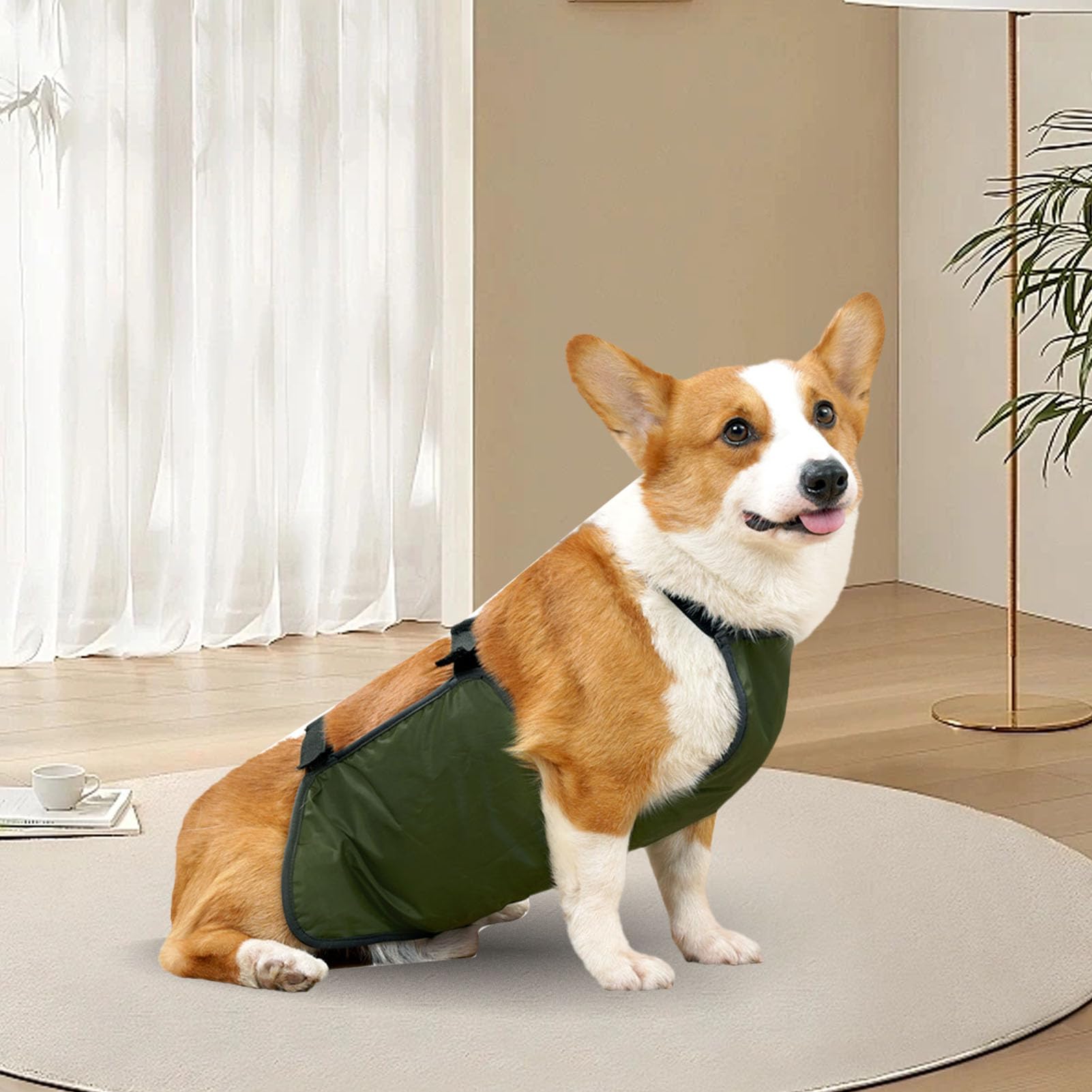 Banda abdominal para perros grandes, impermeable, transpirable ...