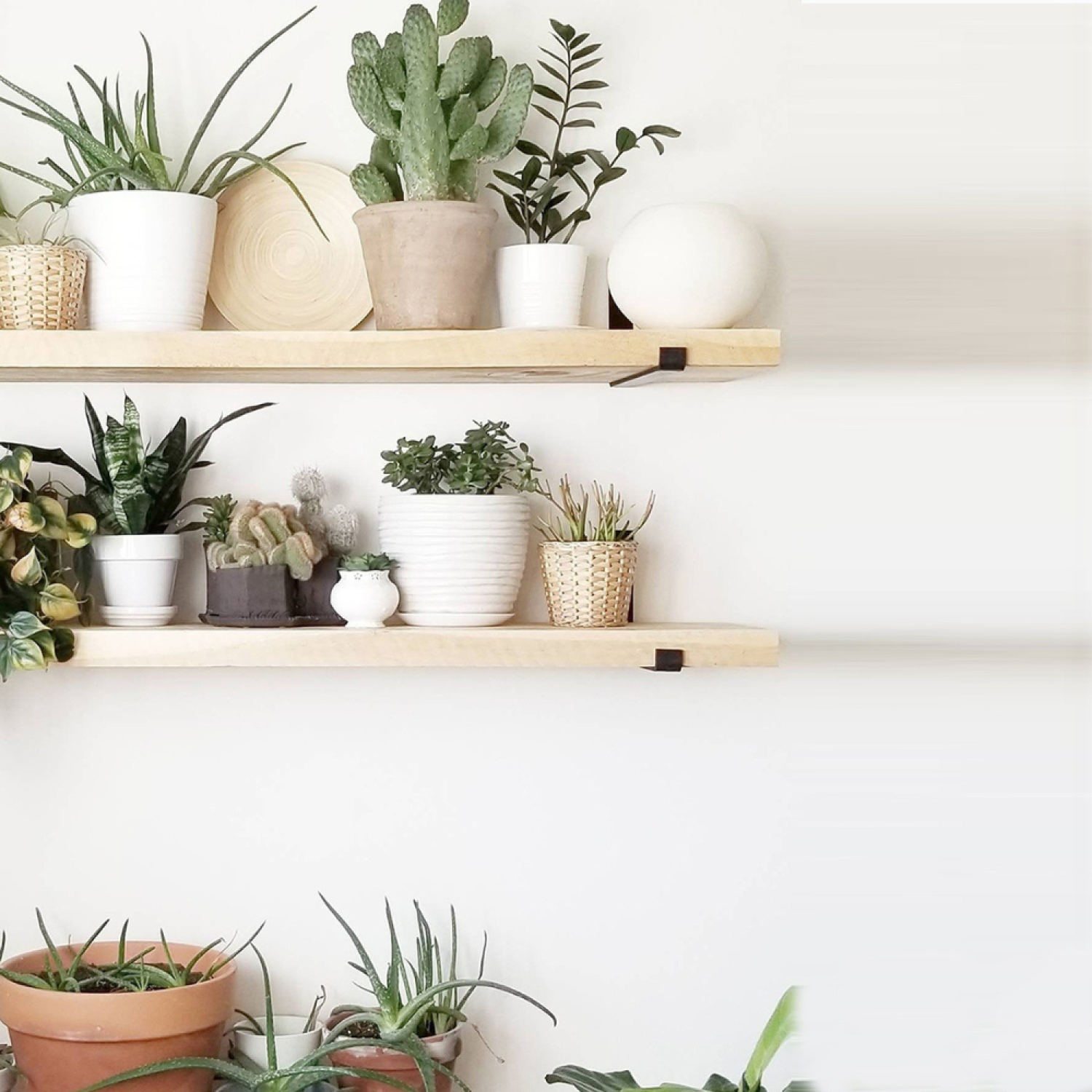 BUSSA Estantería de pared de madera de abeto y metal - 2 estantes ...