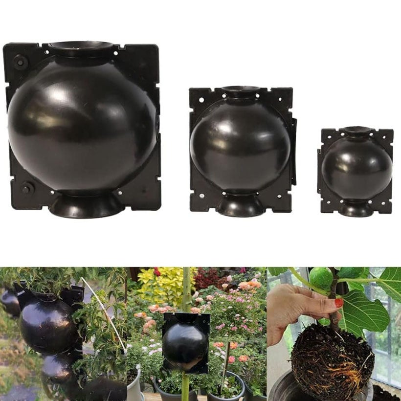 Dispositif d'enracinement de plantes, boîte de greffage de croissance d ...