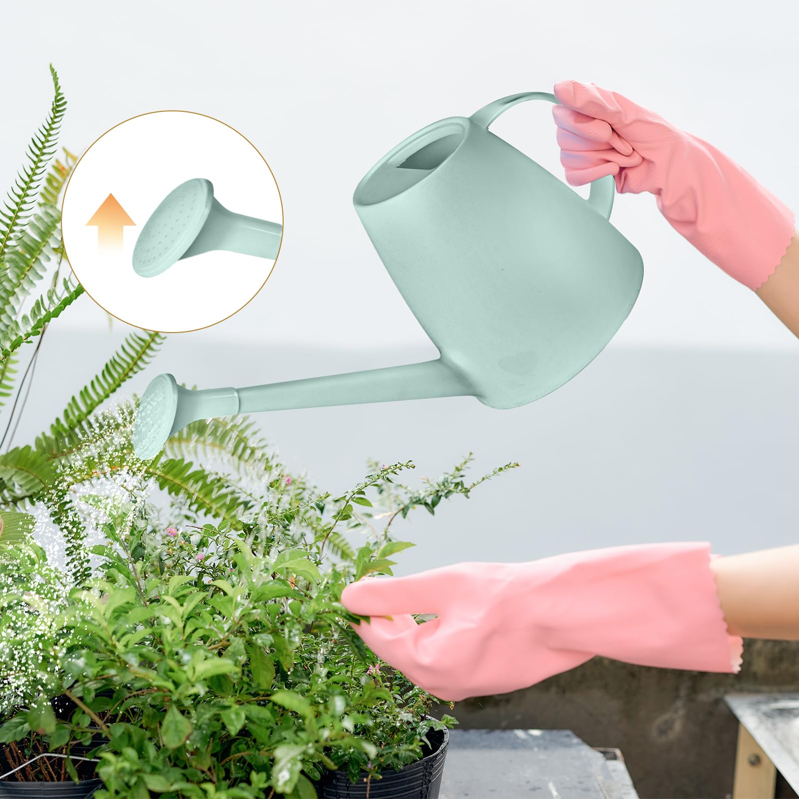 Regadera pequeña con boquilla desmontable, regadera de boquilla larga ...