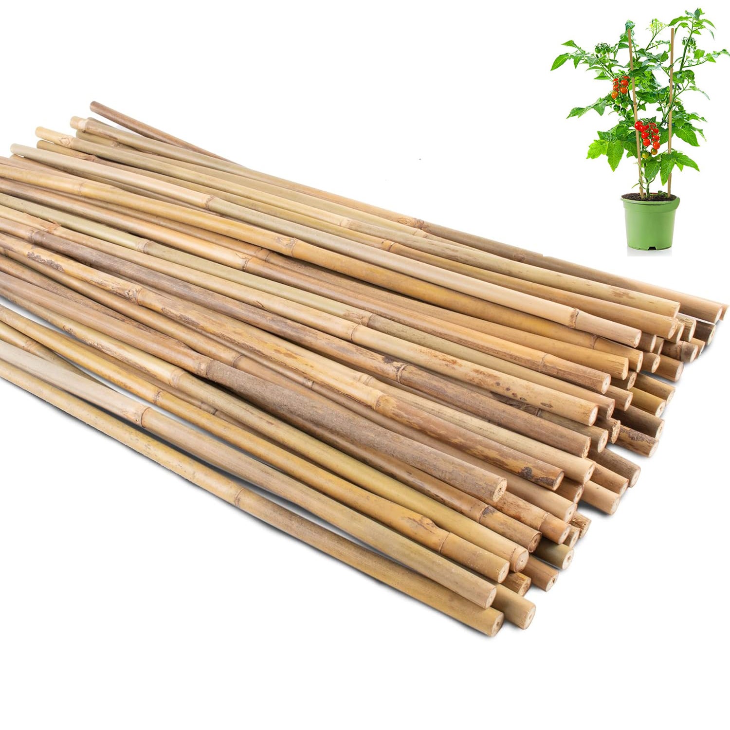 40 pezzi di pali da giardino in bambù, supporti per piante da giardino ...