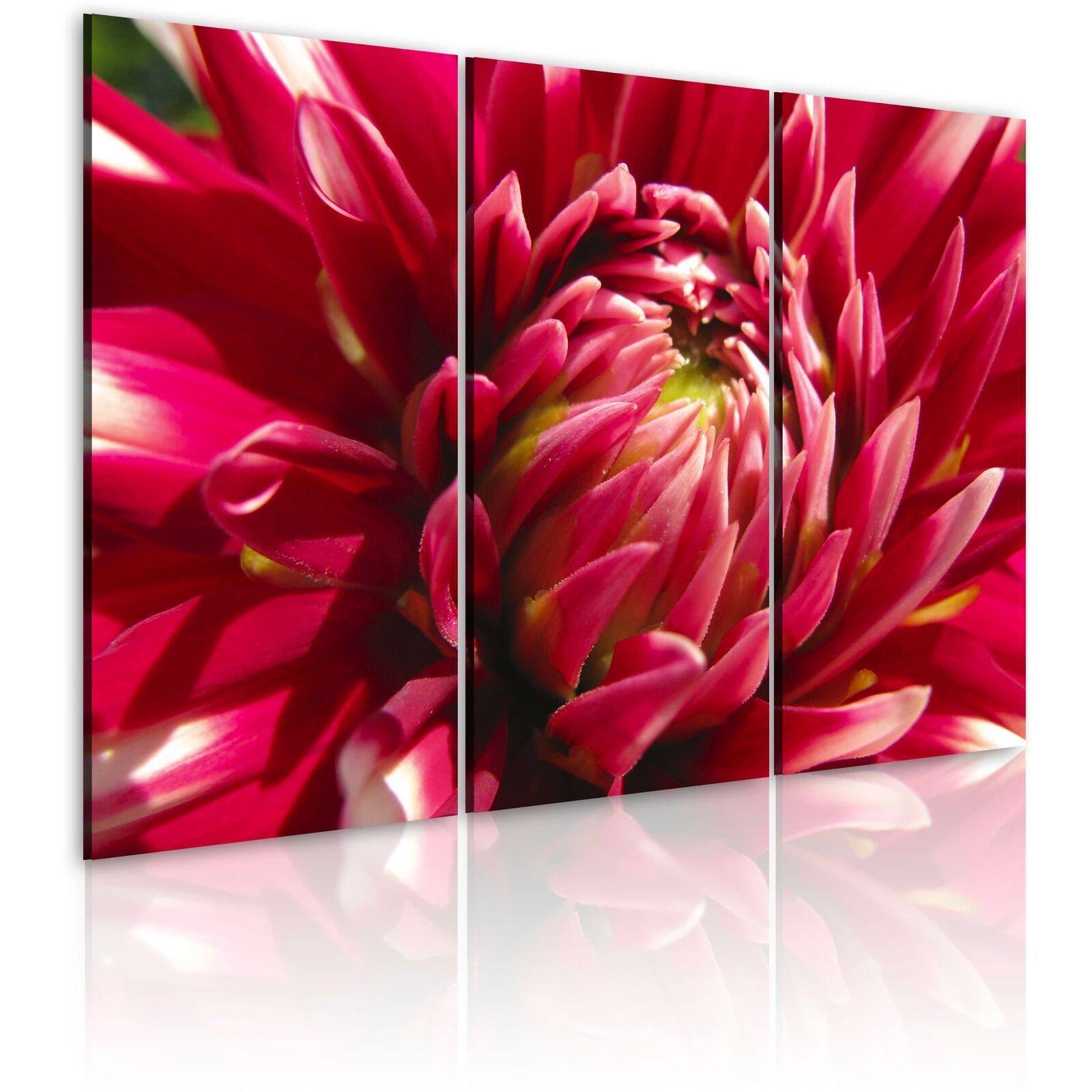 Tableau jardin fleurissant - dahlia - 120 x 80 cm | Leroy Merlin