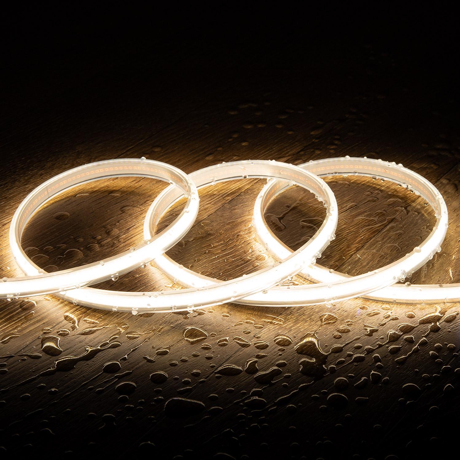 Ruban LED Dimmable 220V COB 320 LED/m Blanc Neutre 8W/m 720lm/m Largeur ...