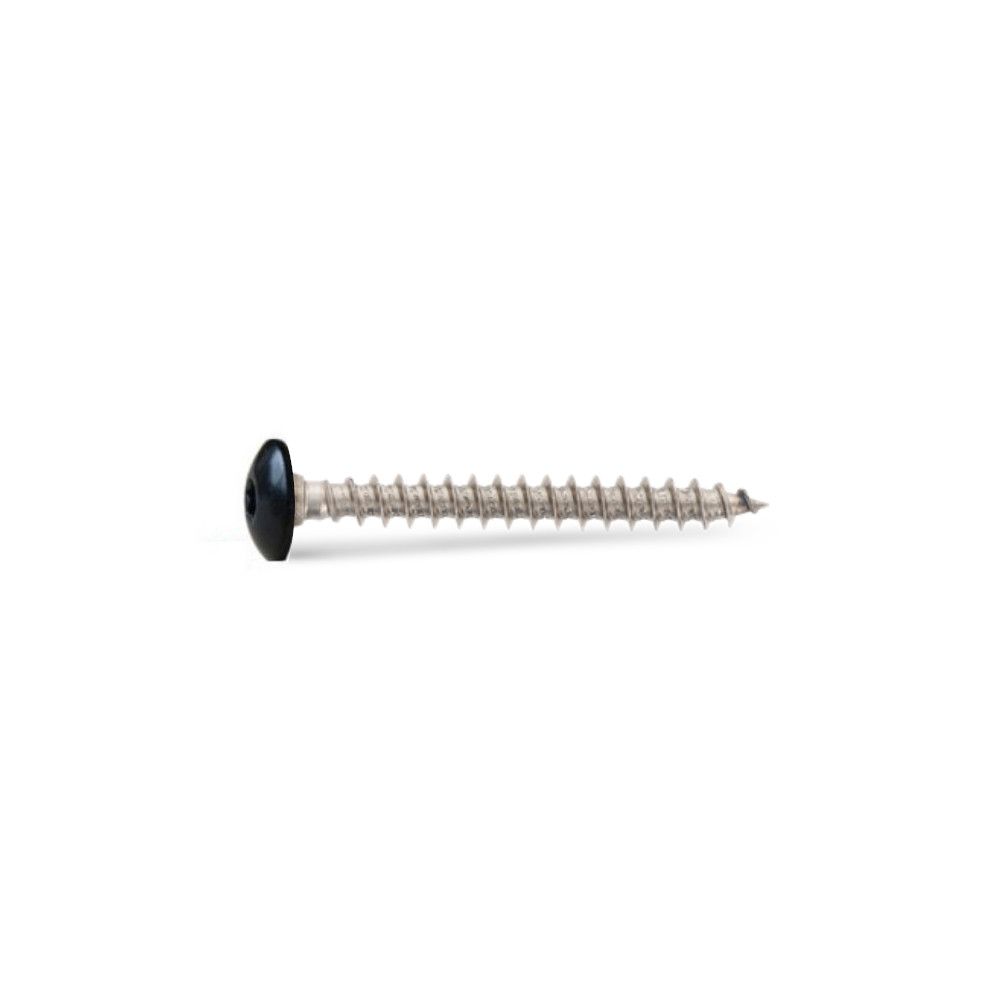 Vis penture 6x30 mm Inox A2 RAL 9005 noir foncé par 50 | Leroy Merlin