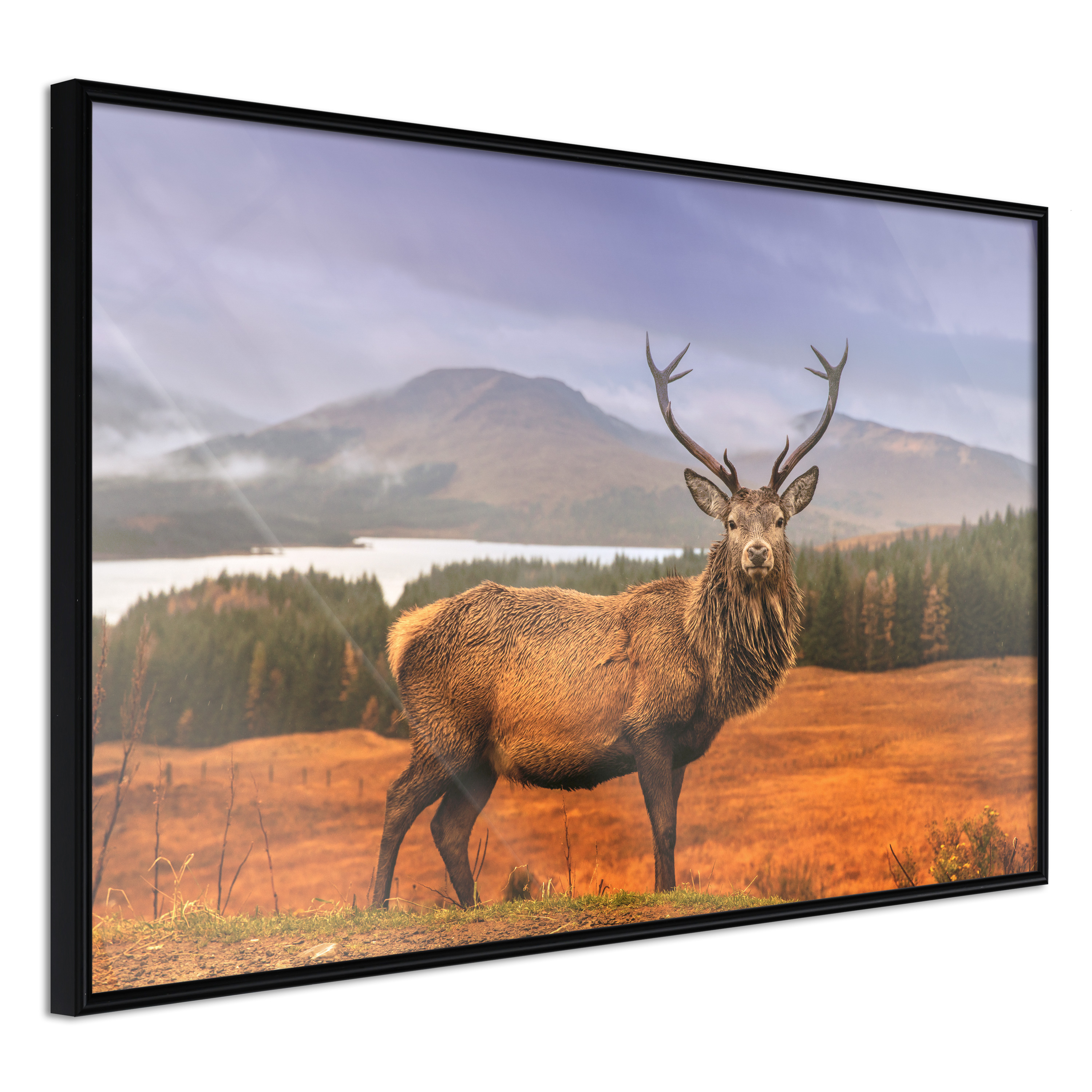 Poster et affiche - Majestic Deer - 90x60 | Leroy Merlin