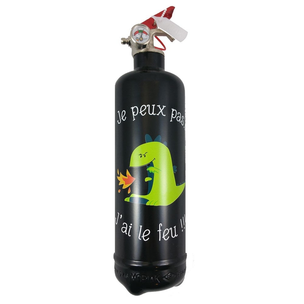 Extincteur Design "Je peux pas j'ai le feu" / Marque : Mondial ...