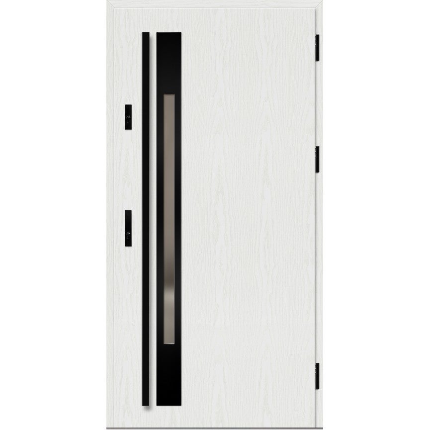 Porte d'entrée en acier avec cadre en aluminium WELS 1 - Poussant Droit ...