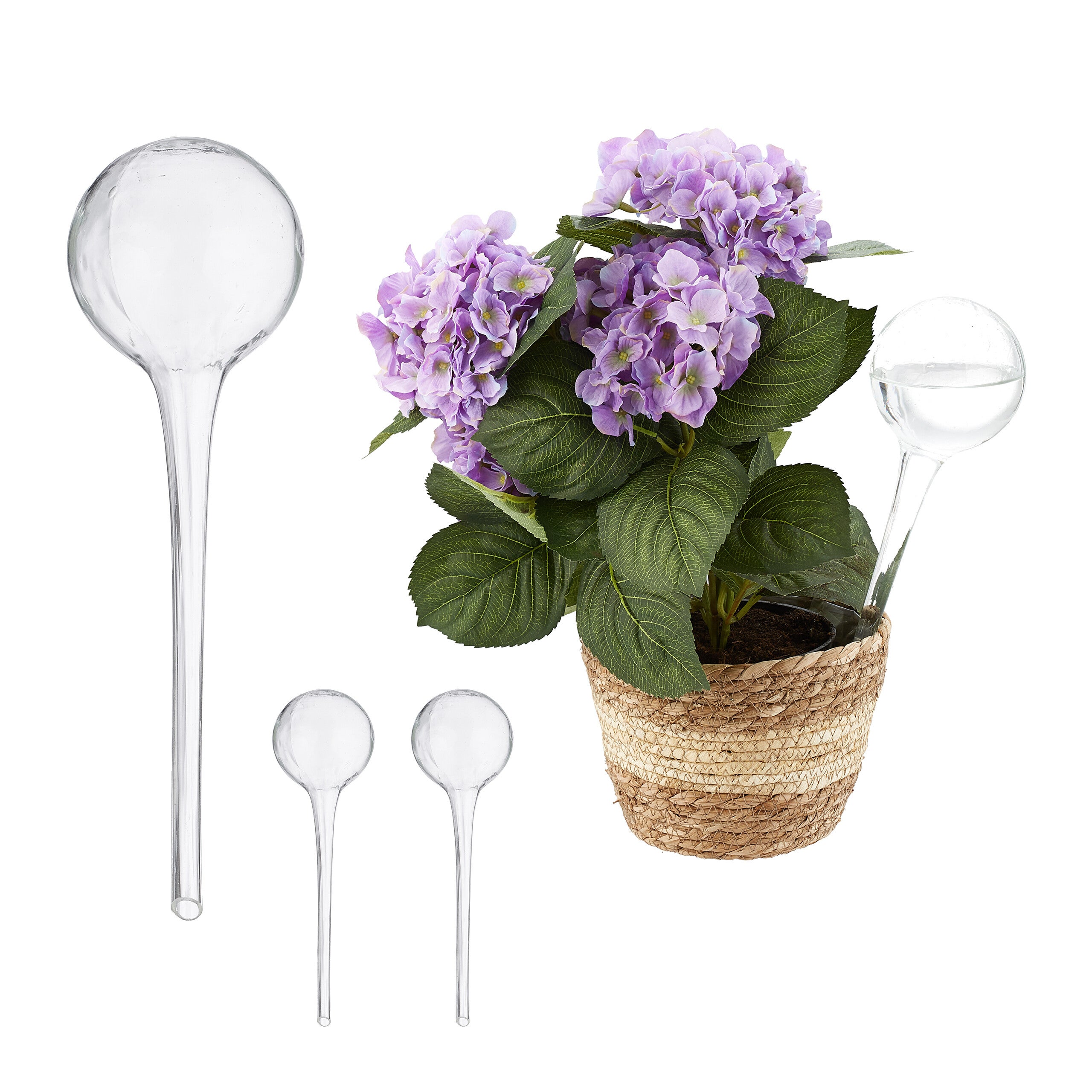 4 x boules d'arrosage, arrosage dosé, pot de fleurs, aide à l'arrosage bureau, vacances, verre Ø ...