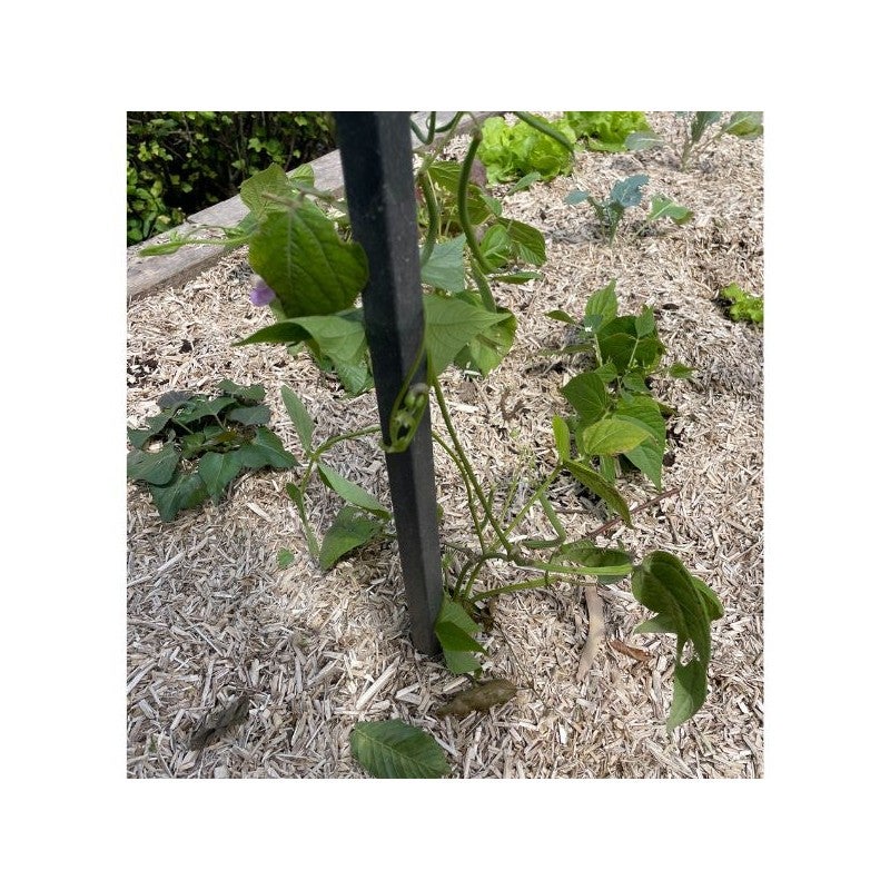 Tuteur tomates (lot de 8) - Gris anthracite 190 cm | Leroy Merlin