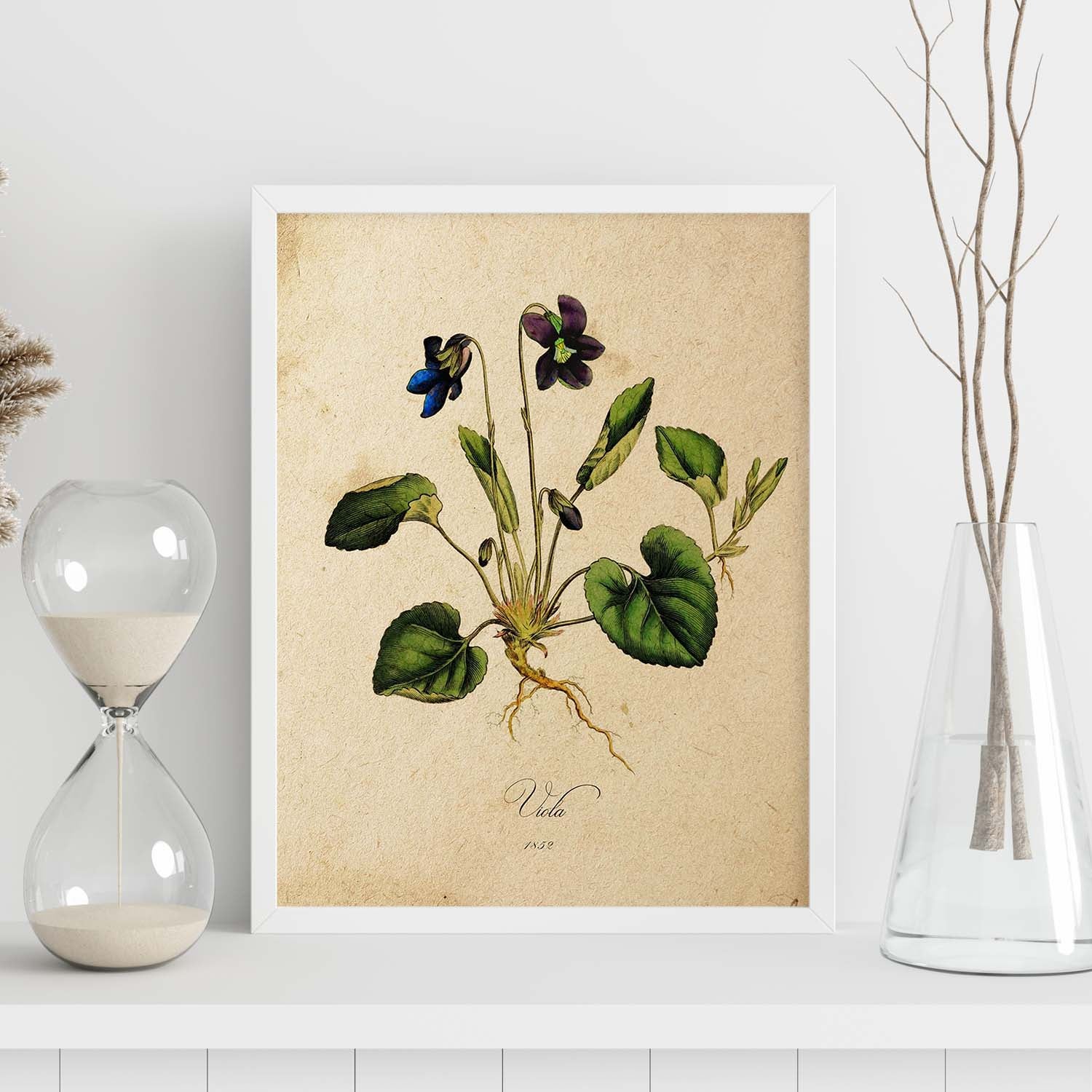 Affiche De Fleurs Vintage. Lamina Alto Avec Design Vintage. A4 Sans ...