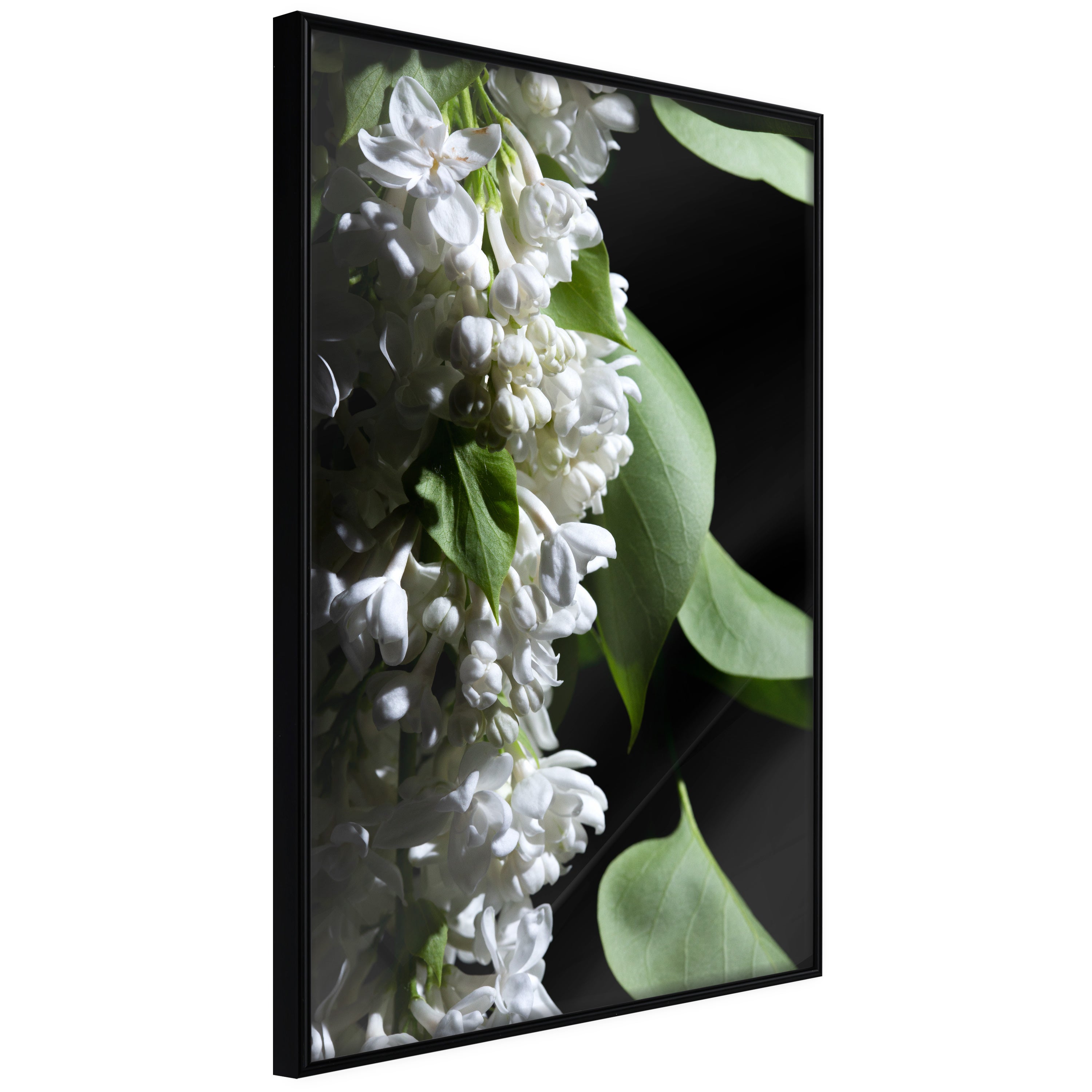 Poster et affiche - Fragrant Spring - 20x30 | Leroy Merlin