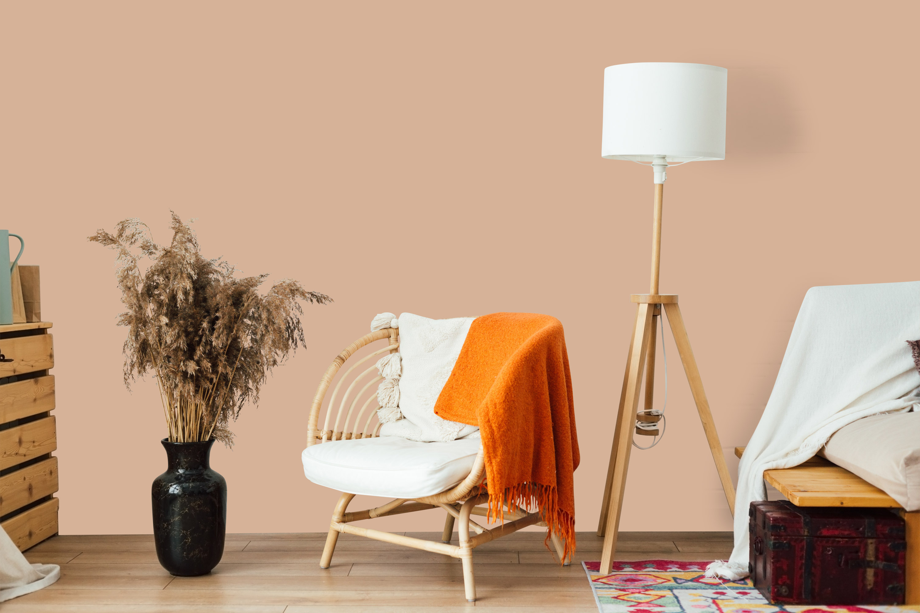 THE COLOR KITCHEN - Pintura de muy alta opacidad naranja para ...