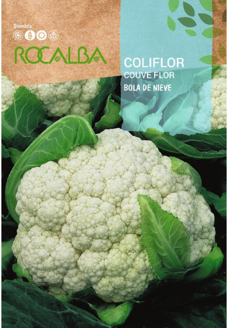 ROCALBA SEMILLAS COLIFLOR BOLA DE NIEVE 10 gr, Pack 5 Sobres | Leroy Merlin