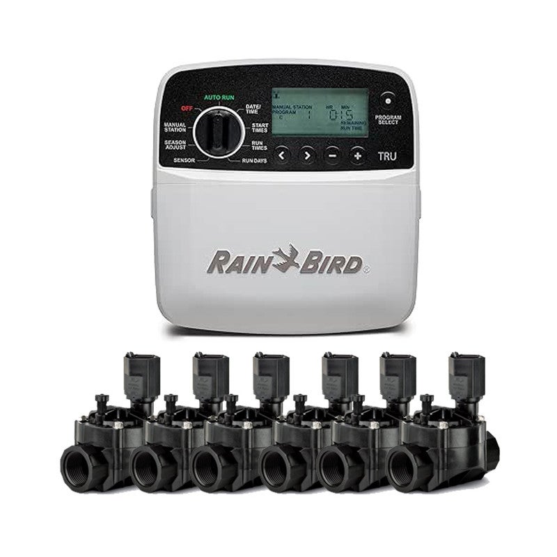 Arrosage Automatique Rain Bird