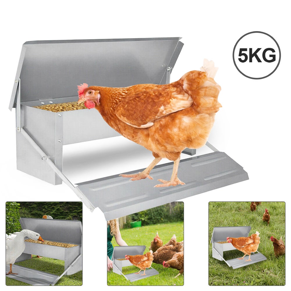 Comedero automático para gallinas - Capacidad: 5 kg - Comedero ...