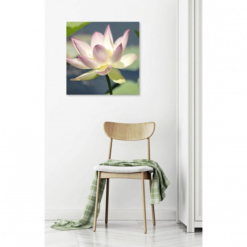 Tableau toile XXL en kit Lotus 60 x 60 cm - Toile textile sans PCV ...