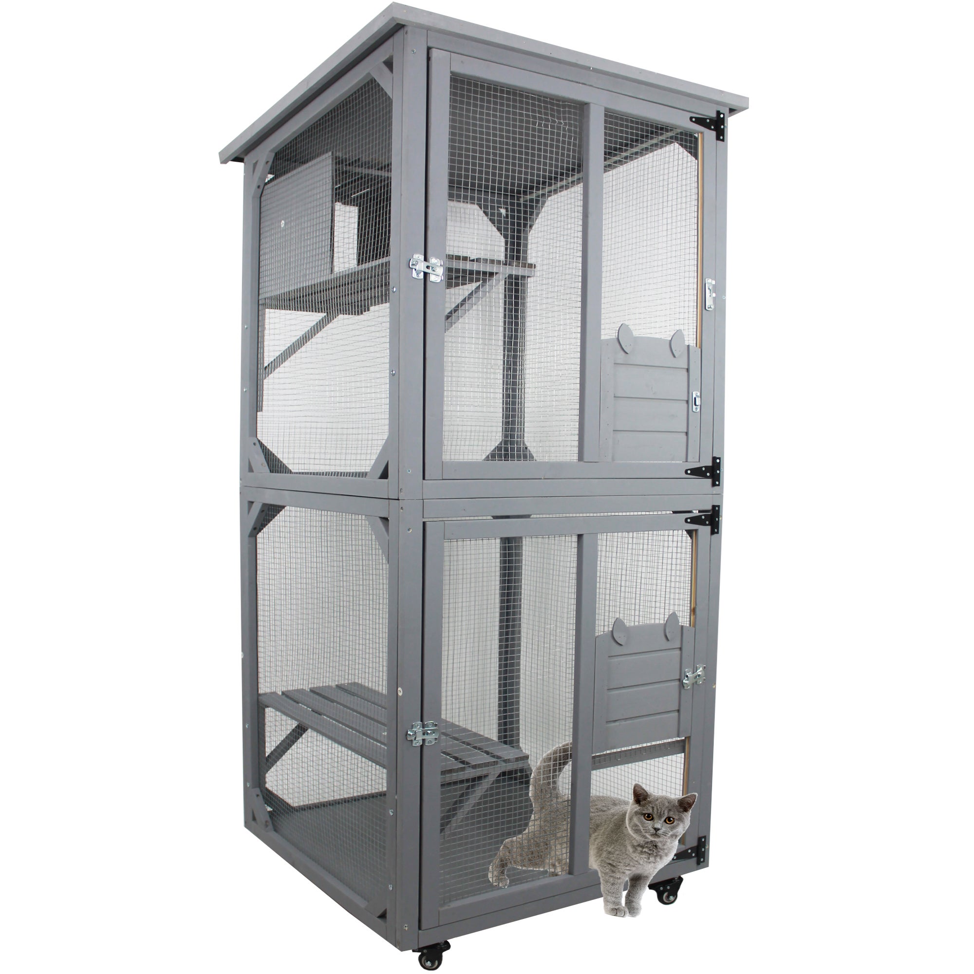 MaxxPet grande cage pour chat - Enclos pour chat en liberté - Course ...