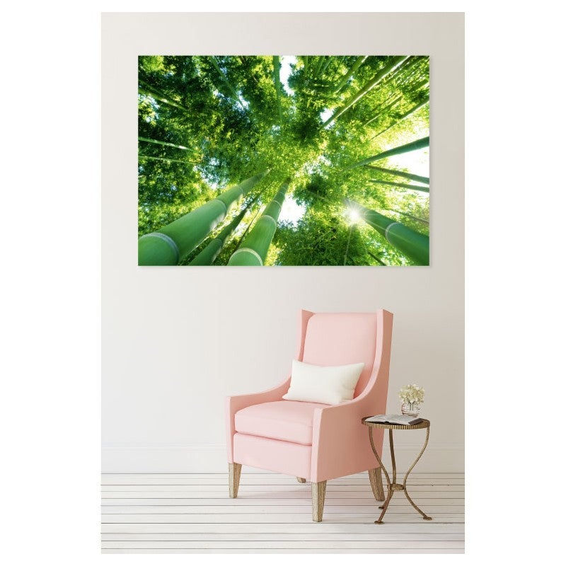 Tableau toile en kit SOUS LES BAMBOUS 180 x 130 cm - Toile textile sans ...