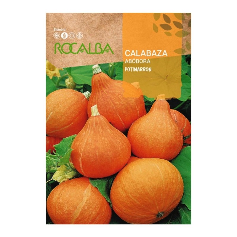ROCALBA SQUASH POTIMARRON 3g, Pack 5 Enveloppes | Leroy Merlin
