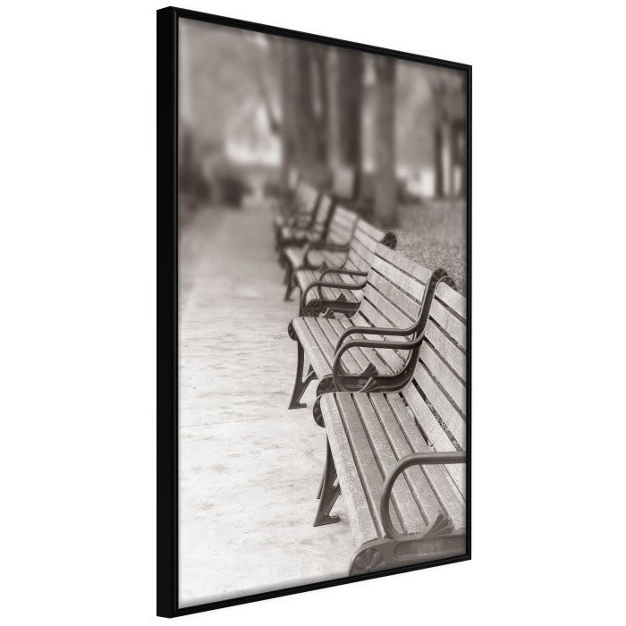 Affiche Murale Encadrée "Park Alley" 40 x 60 cm Noir | Leroy Merlin