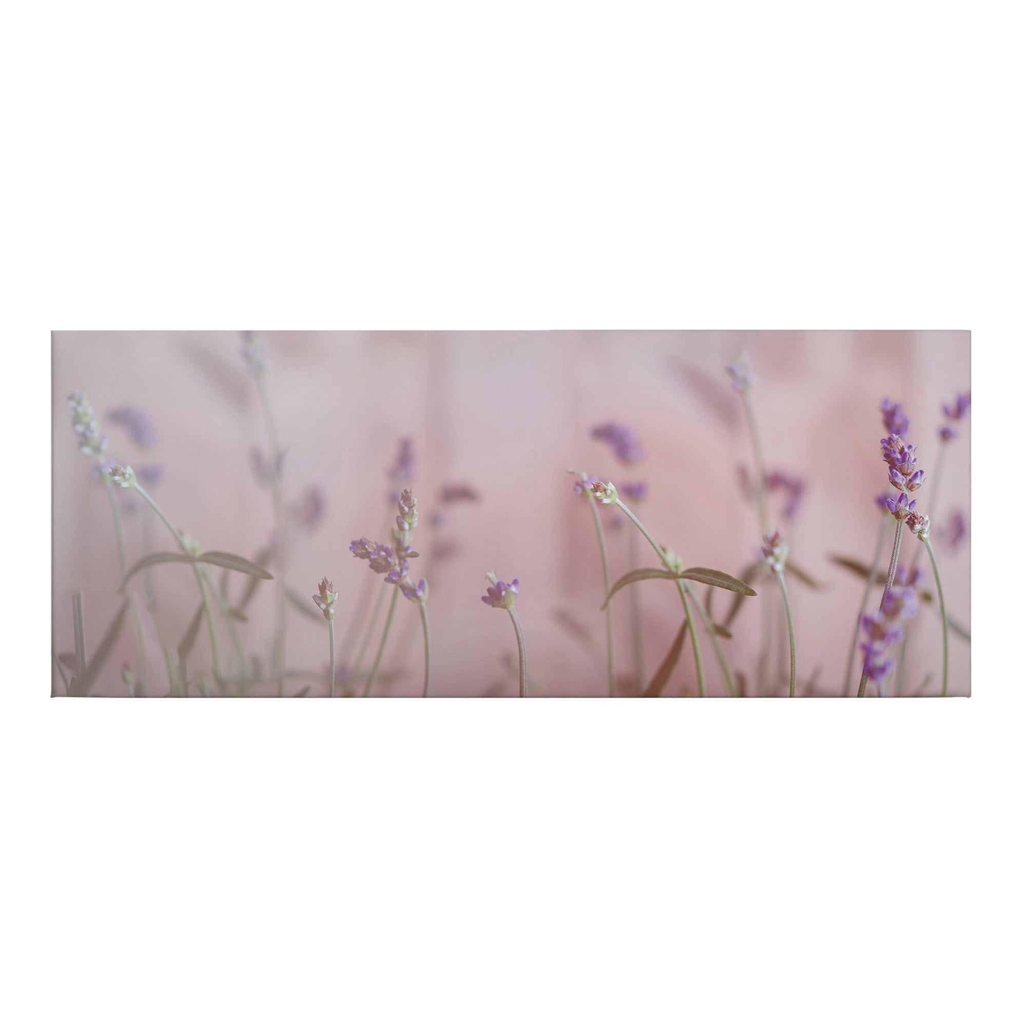 TADESSI Tableau sur toile Fleurs M1-No.50463 Tableau Lila Gris Châssis ...