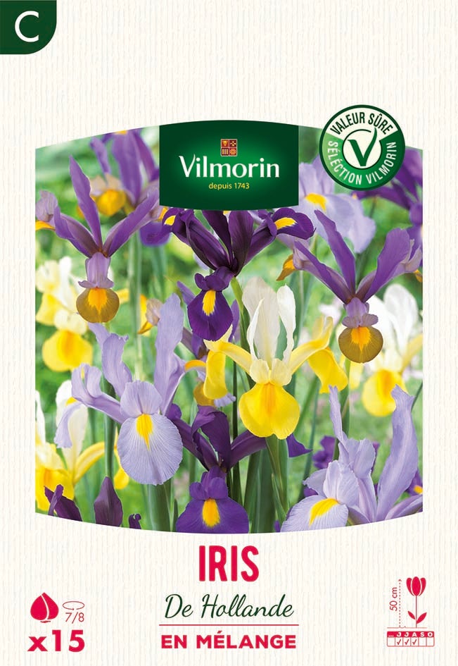 Iris de Hollande en Mélange (x15) | Leroy Merlin
