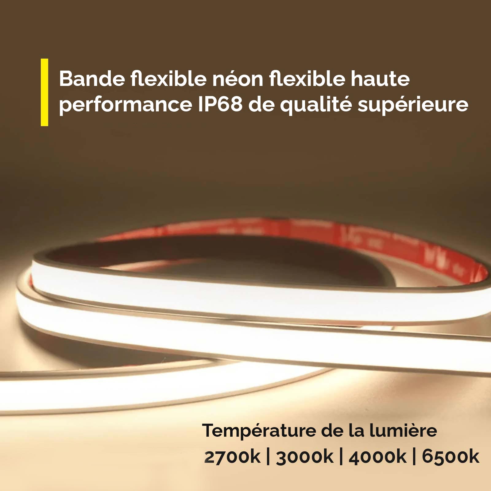 Strip COB NEON flex LED linéaire dimmable 24V immersion IP68 flexible ...