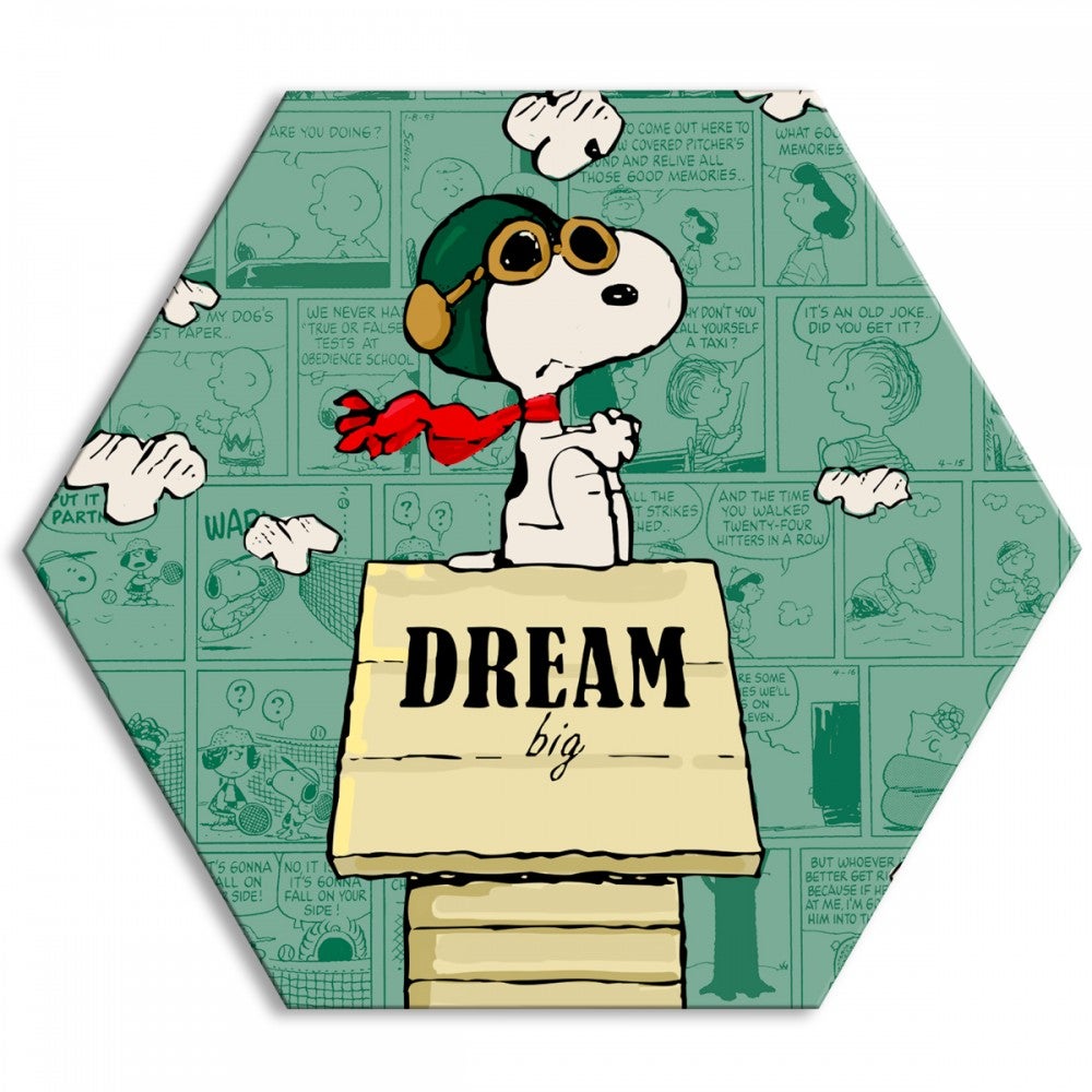 SNOOPY - DREAM BIG - Lienzo Hexagonal - Cuadro Impreso en Lienzo y ...