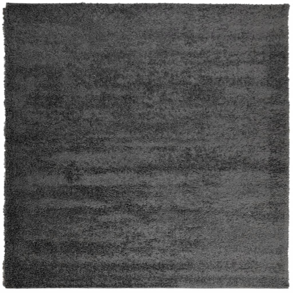 Tapis Salon | Tapis Chambre | Tapis shaggy à poils longs moderne anthracite 200x200 cm CFW66106 ...