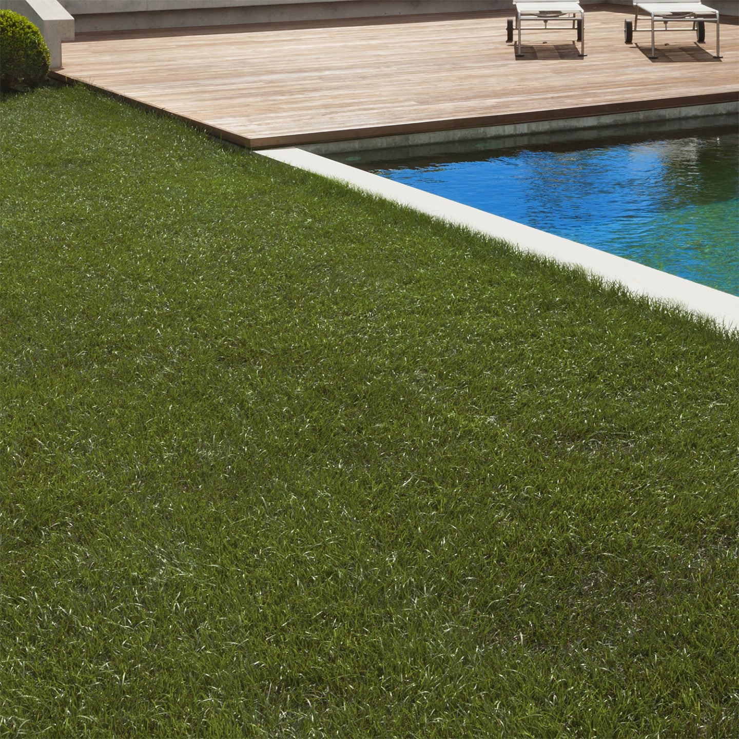 Gazon synthétique artificiel 1x10 M 40 mm d'épaisseur pour jardin et ...