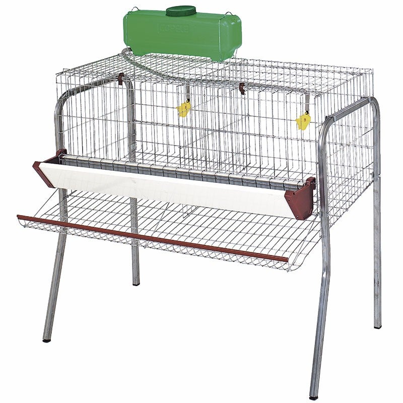 Gabbia galline ovaiole 2 scomparti | Leroy Merlin