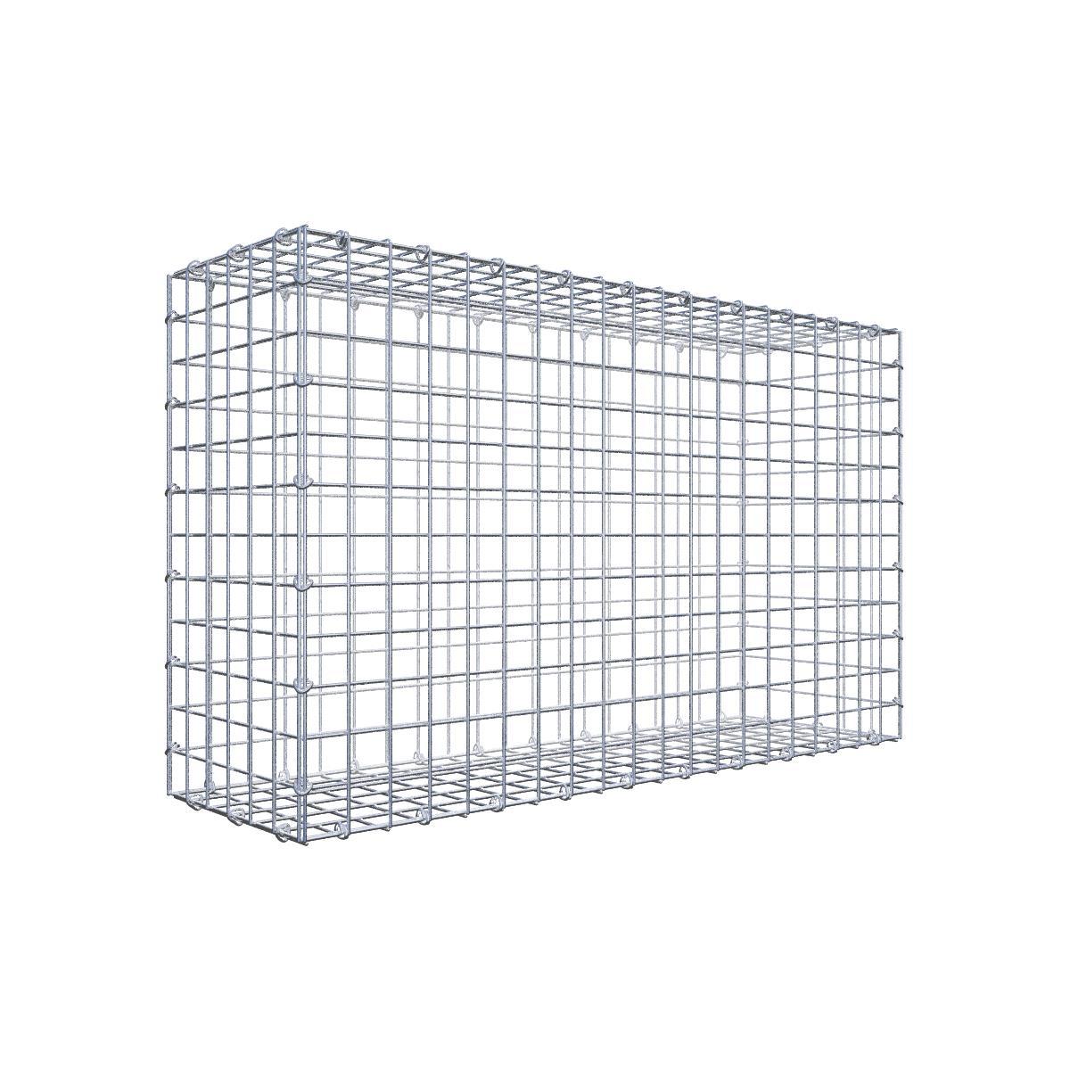 Gabion 100 cm x 60 cm x 30 cm (dł. x wys. x gł.), rozmiar oczka 5 cm x 5 cm, pierścień typu C ...