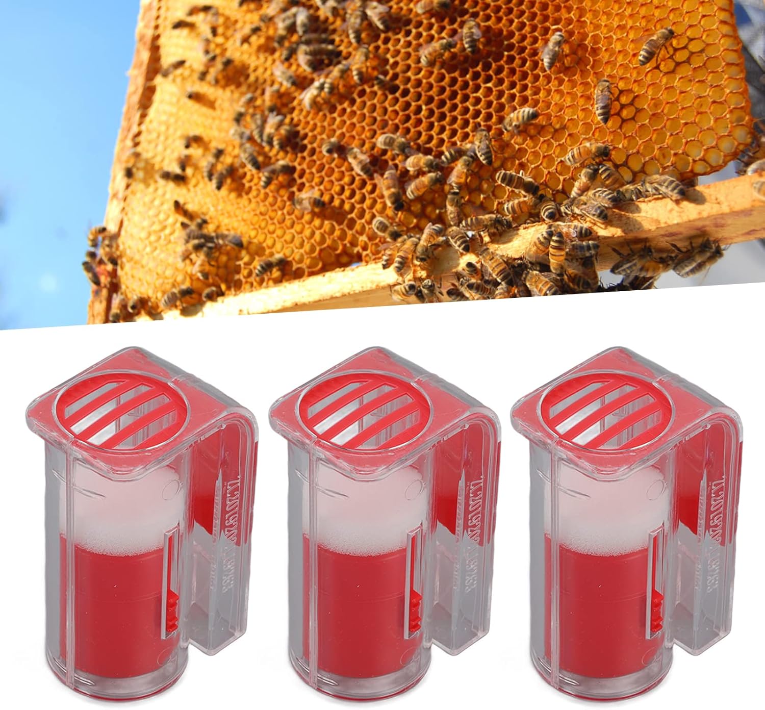 Kit de Marquage de la Reine Cage de Marquage de la Reine des Abeilles ...