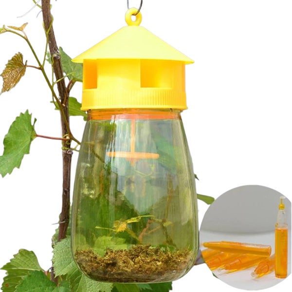 Piège Colle Jaune x10 pour Insectes Volants - Liquide Capteur Puissant ...