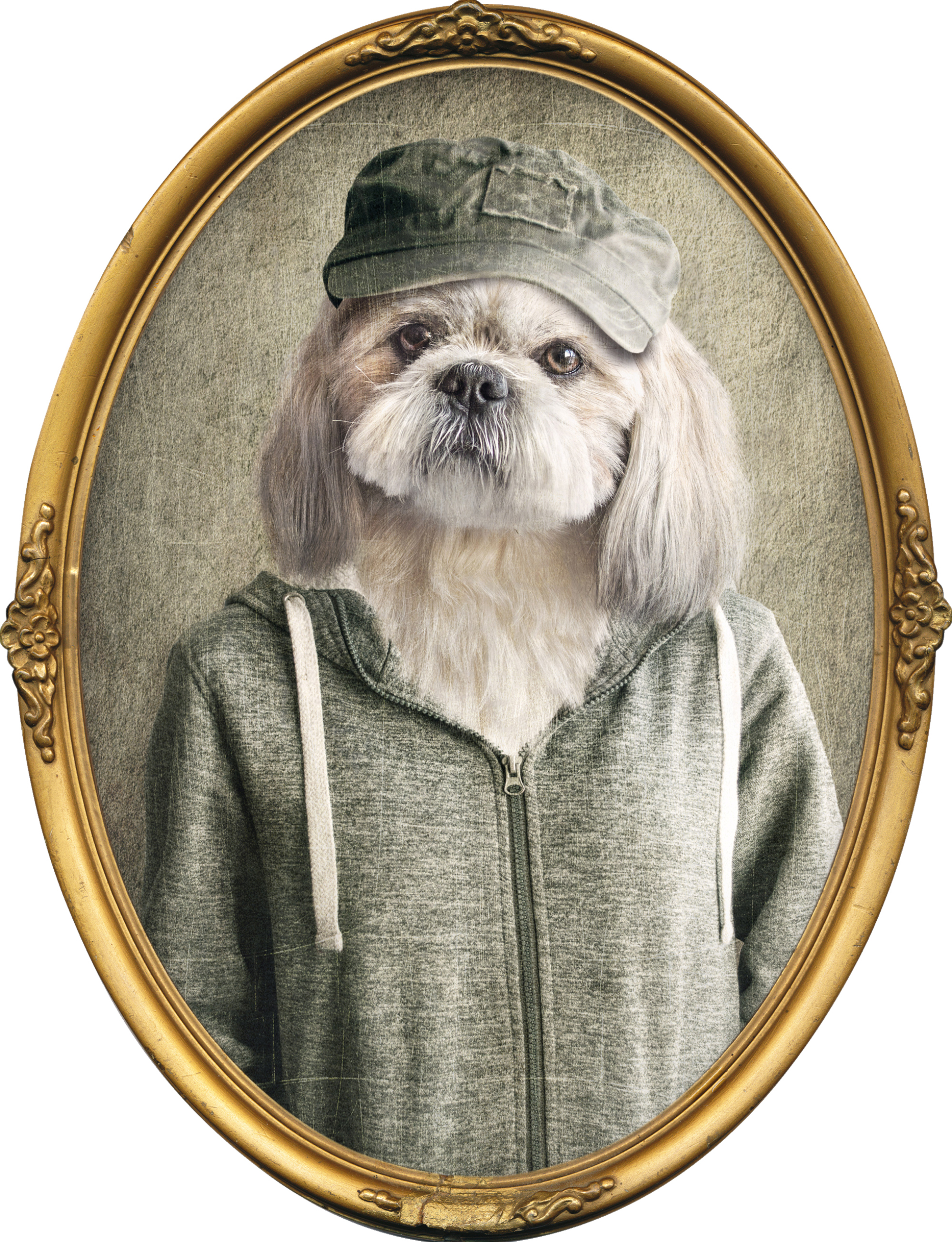 Sticker adhesivo Perro con marco ovalado 49x65 | Leroy Merlin