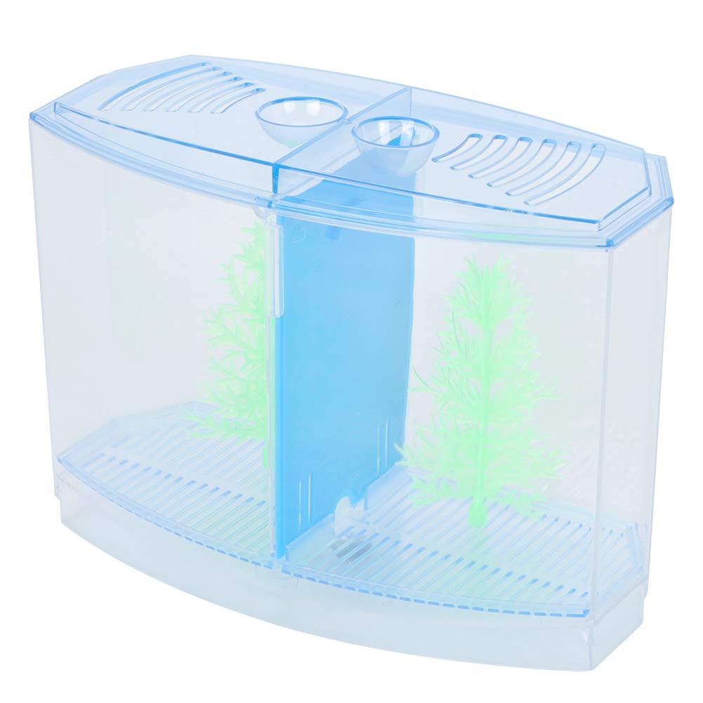 Mini aquarium pour poissons, boîte d'élevage transparente pour plantes ...