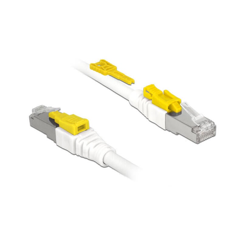 Delock cable rj45 secure cat.6a 2 m | Leroy Merlin