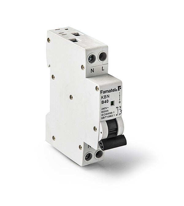 MAGNETOTERMICO REDUCIDO 1P+N 10AMP | Leroy Merlin