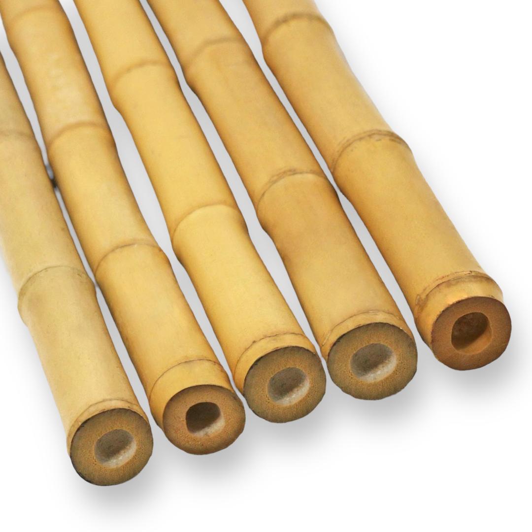 Pack 5 Cañas de Bambú Decorativa Ø11-13 cm Largo 200 cm | Leroy Merlin