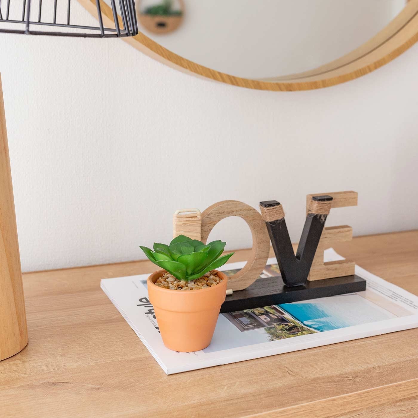 PLANTA CACTUS YAINA 12CM - Modelo 1 | Leroy Merlin